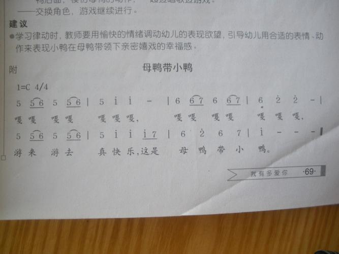 猫小帅儿歌母鸭带小鸭图标