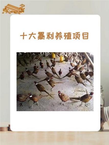 未来10大暴利养殖图标
