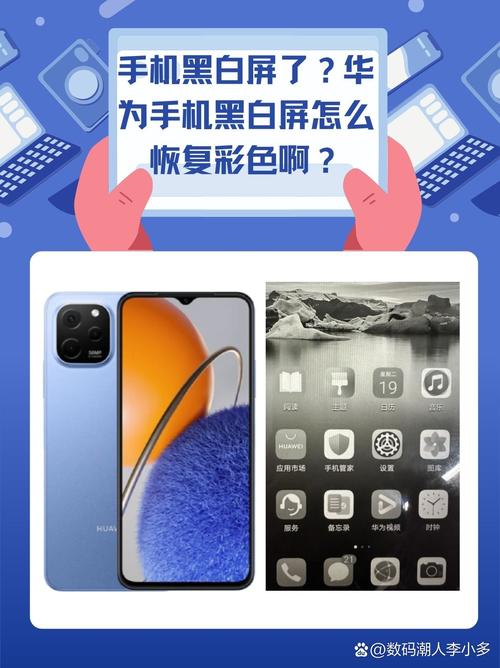 苹果手机色彩变黑白屏图标