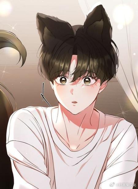 猫咪小说官方网页图标