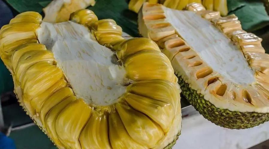 菠萝蜜图标