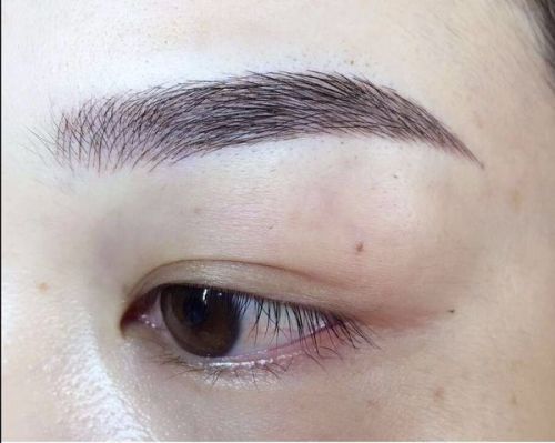 半永久2年了图标