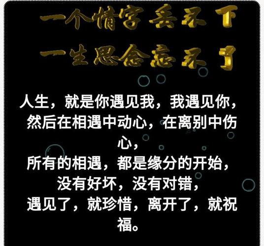 我在红尘中遇见最美的缘截图