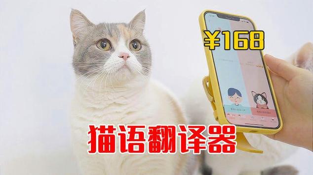 小猫叫声翻译器图标