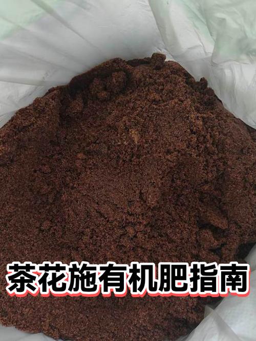 茶花适合什么肥料图标