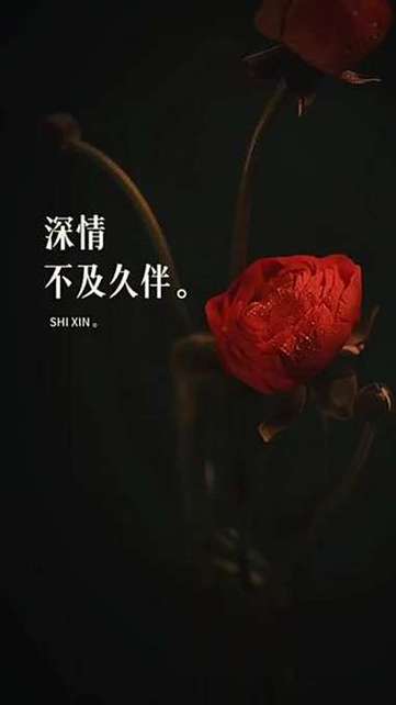 犀利的走心文案图标