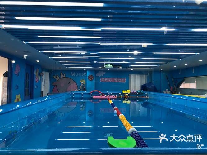 熊小米游泳馆的简介和历史背景图标