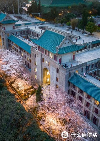 武汉大学看樱花什么时间最好截图