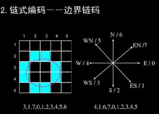 数据码是什么