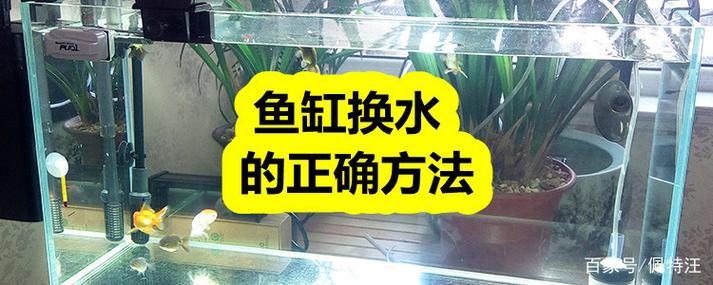 鱼缸水多久换一次最好图标
