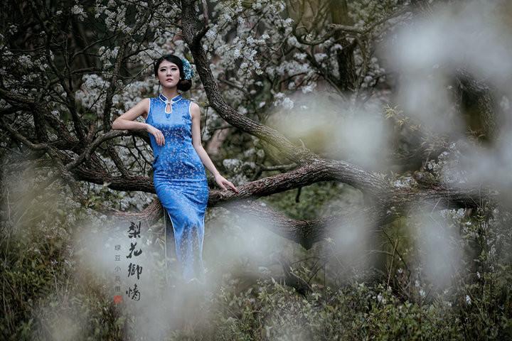 梨花村孽缘情全文免费阅读图标