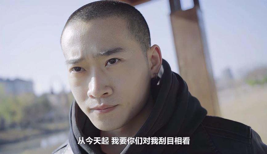 虎婿第二部