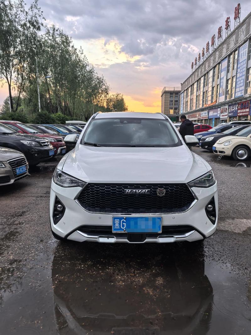 哈佛m7报价及图片2019图标
