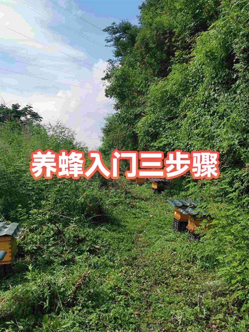 新手养蜂入门技术图标