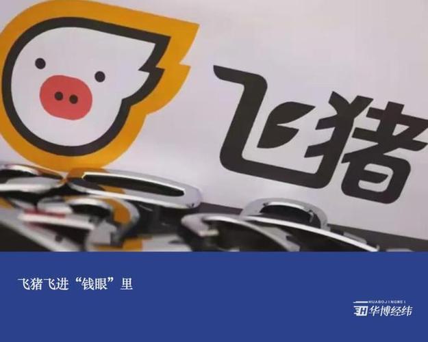 飞猪上可以借钱吗截图