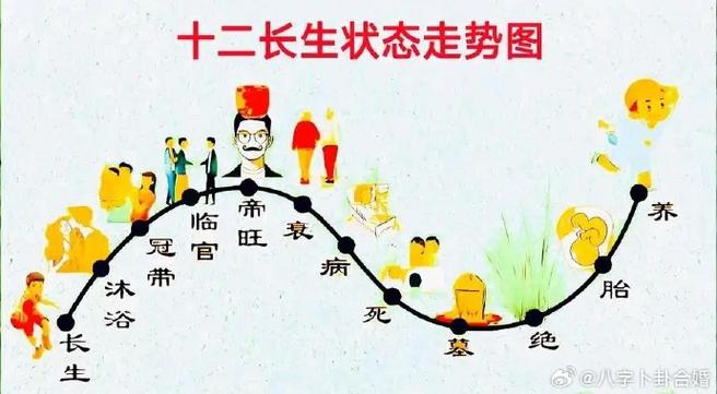 十二长生看寿命截图