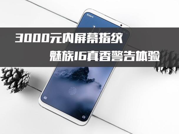 魅族16屏幕部分触控失灵图标