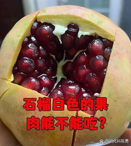 什么石榴不能吃截图