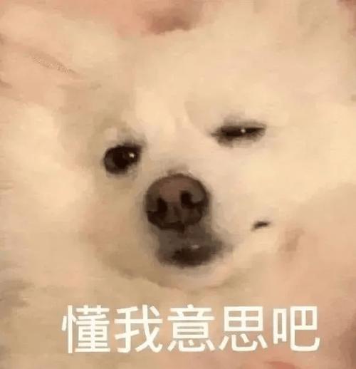 我的意思你懂的吧图标