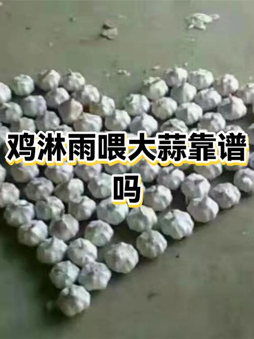 蒜粒社靠谱吗图标