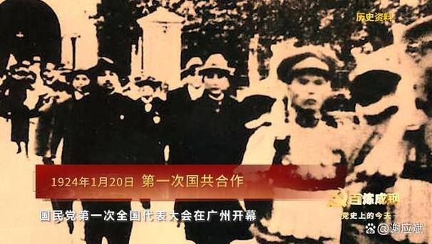 爱国者的政治联盟是什么截图