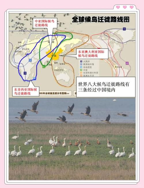 雁南燕北主线完整流程图标