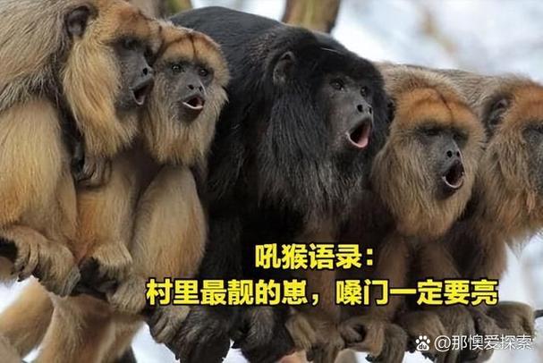 气宇轩昂代表什么动物图标