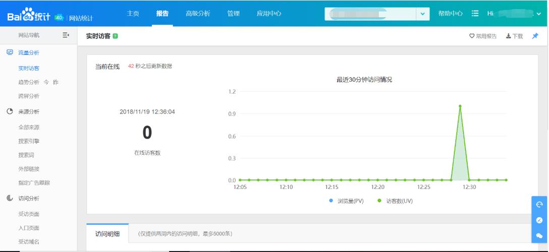 查看网站实时访问量图标