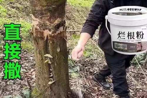 让树腐烂用什么图标