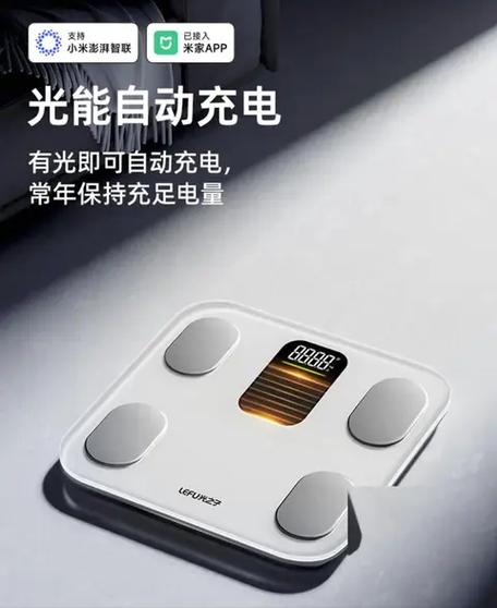 体脂秤怎样重新设置图标