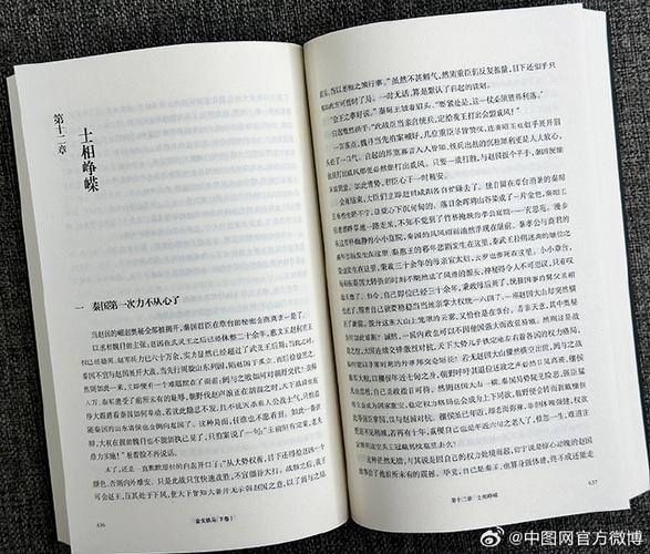 淘小说历史版本图标