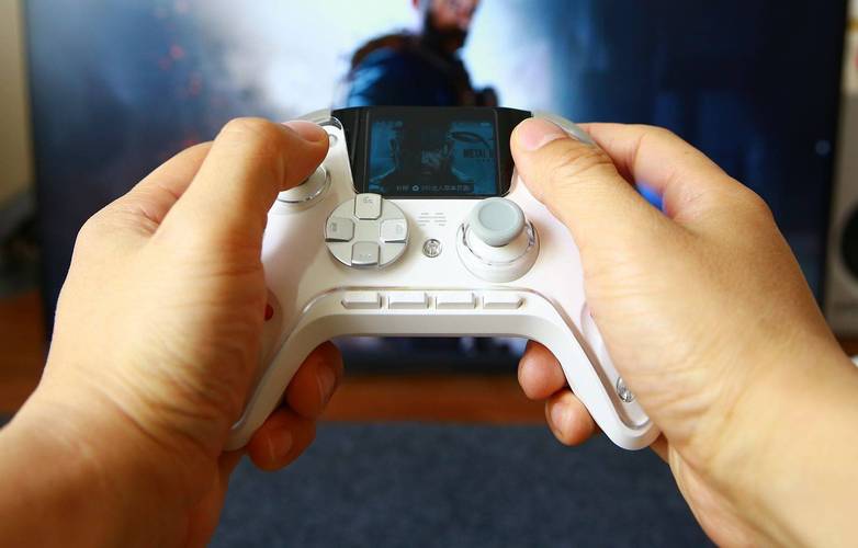 ps4 双手柄游戏图标