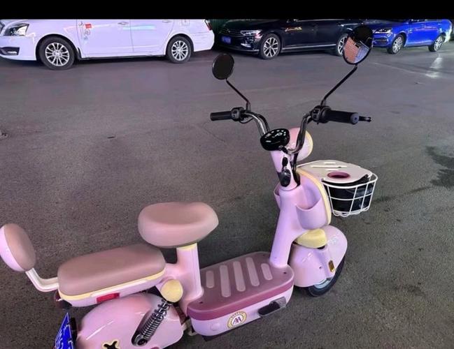 爱玛悠乐pro属于什么档次图标