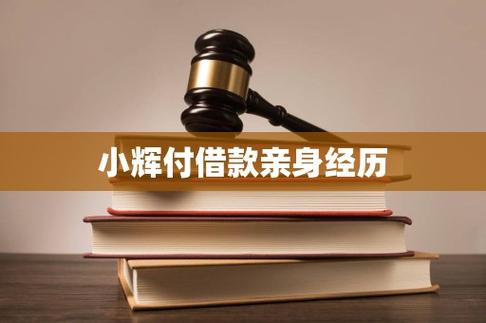 小辉付借款亲身经历图标