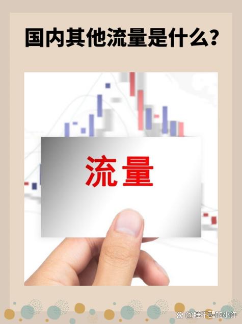什么叫专用流量图标