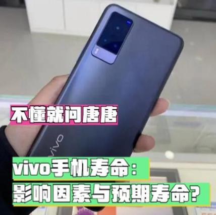 vivo手机的寿命图标