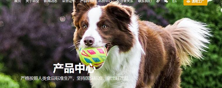 狗狗训练基地怎么收费图标