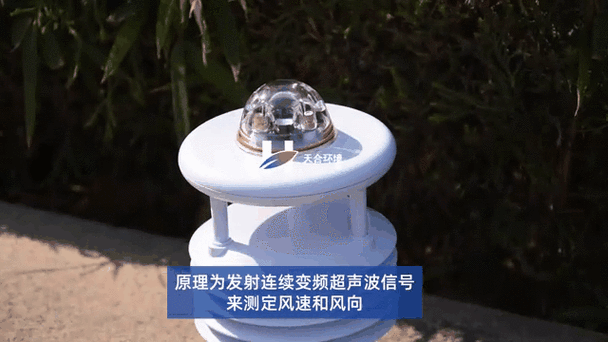 泰拉瑞亚气象仪