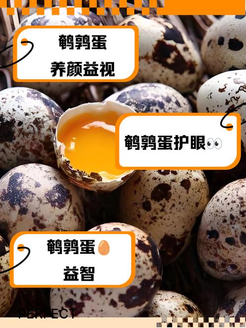 鹌鹑蛋补精子吗图标