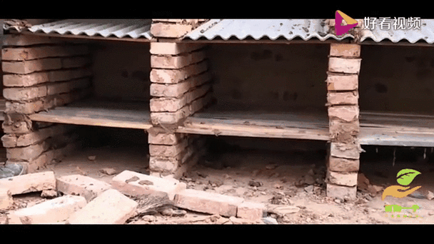 养殖兔子的兔棚怎么搭建图标