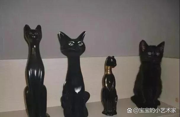 黑猫笔下的人物命运