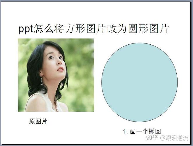 怎么把图片变成ppt图标