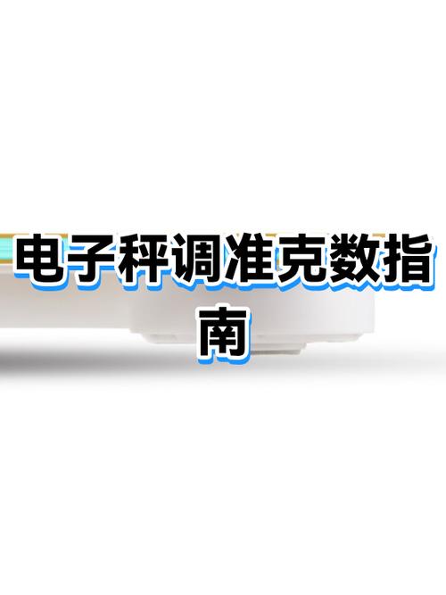 电子秤怎么秤克数图标
