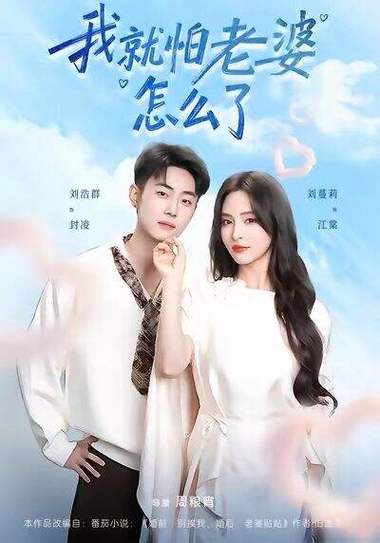 我怕老婆图标