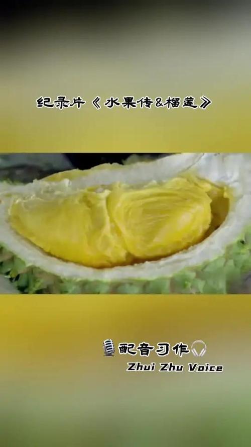 央视纪录片《水果传》免费观看截图