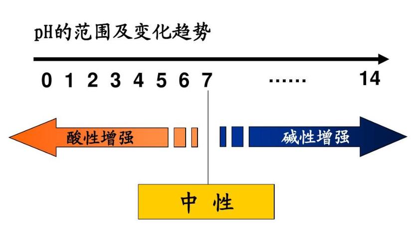 危害从低到高排列的顺序是截图
