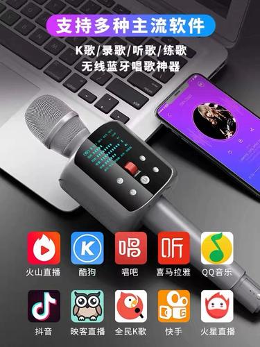 麦克风连接全民k歌图标