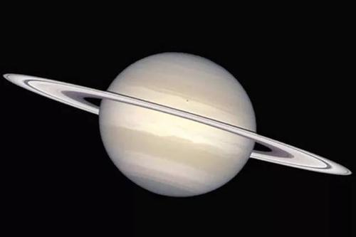 土星直播tv