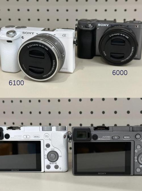 索尼a5000和a6000图标