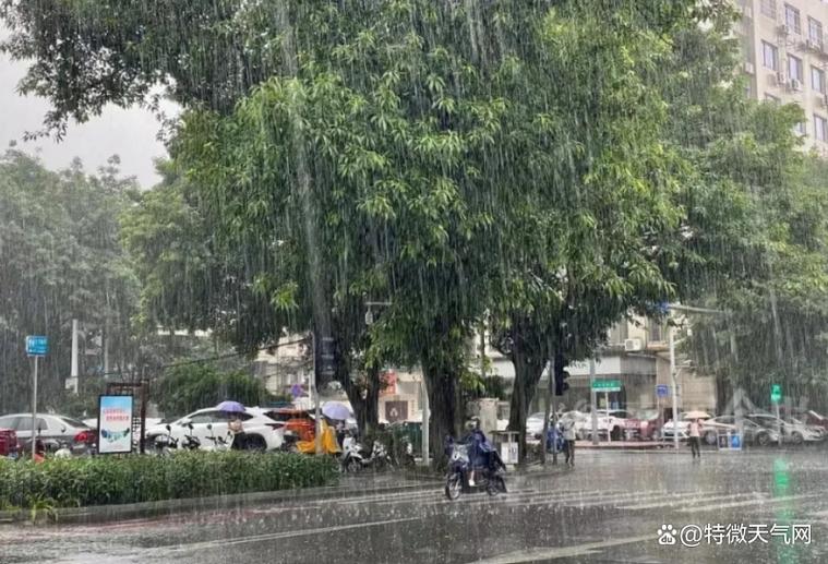 明天中雨暴雨截图